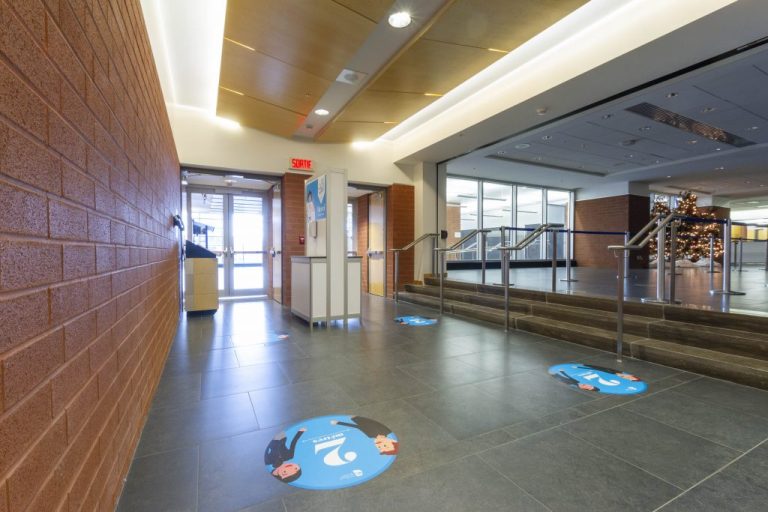 Behind the Scenes of the Imagine Picasso Exhibition in Québec City ...